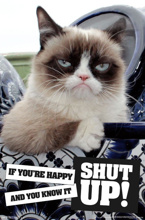 Grumpy Cat - Shut Up Wall Poster 23x34 RP14818 UPC882663048182 – Mason ...